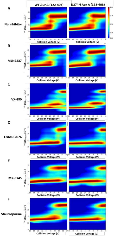 collision induced unfolding profiles of inhibitor bound aur a the