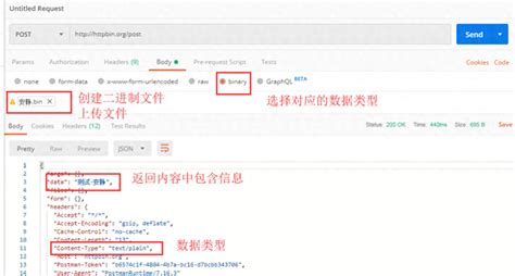 Postman —— Post请求数据类型postman 文件上传类型详解 Csdn博客