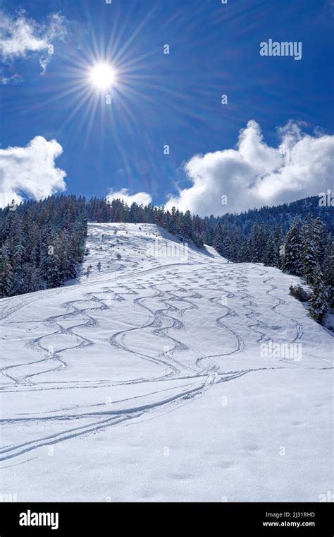 Powder Snow Slope With Ski Tracks Wank Estergebirge Werdenfelser