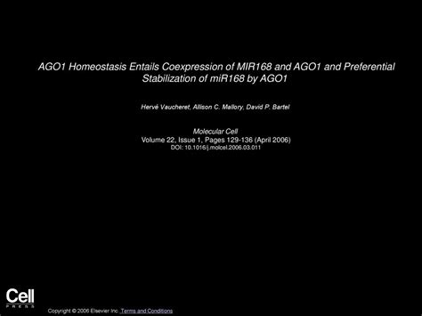 Ago1 Homeostasis Entails Coexpression Of Mir168 And Ago1 And