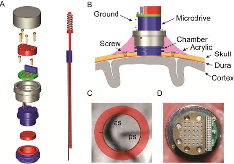 Figure 1 From Optimizing Recording Depth To Decode Movement Goals From Cortical Field Potentials