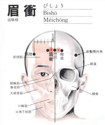 眉冲穴 经络穴位 气功人网
