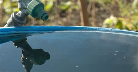 Why Is My Water Butt Overflowing Garden Doctor