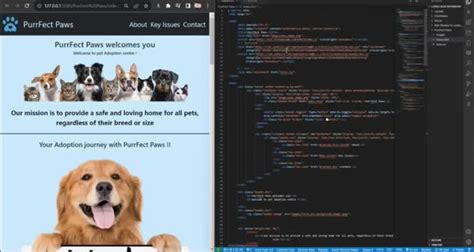 Video Anusha Gonal On Linkedin Codeclause Codeclauseinternship