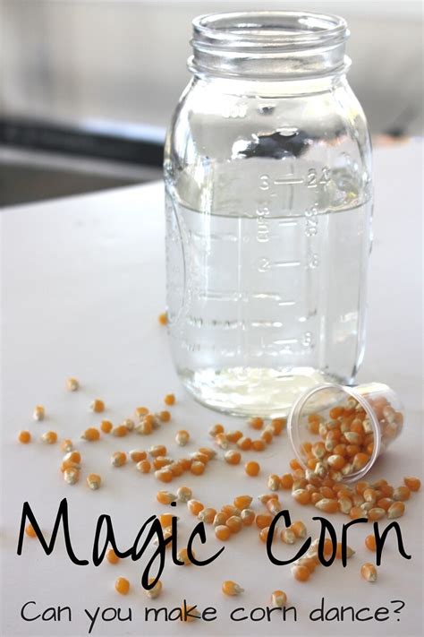 Science Experiments For Kindergarten Kindergarten