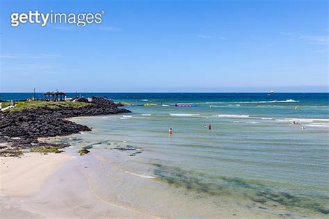 여름 관광객 모래사장 갯바위 화산암 파도 함덕해수욕장 제주시 제주도 이미지 A12696811 게티이미지뱅크
