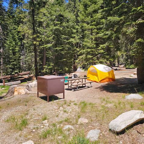 Lodgepole Campground Sequoia National Park Park Ranger John