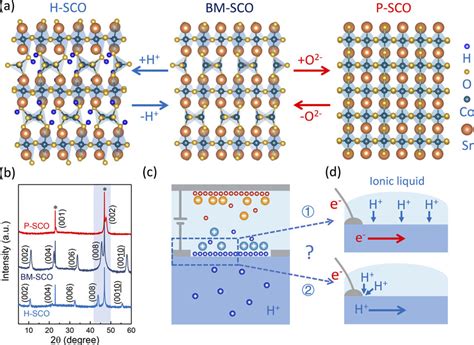 A Electric Field Control Of Dual Ion H⁺ And O²⁻ Driven Tri State Download Scientific
