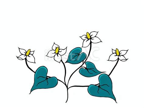 ドクダミの花イラスト No 23156257無料イラストフリー素材ならイラストAC