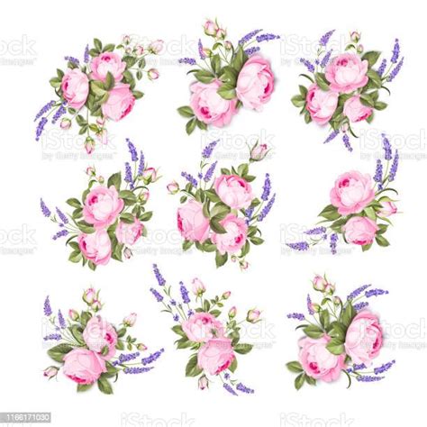 빈티지 장미 꽃 흰색 배경 위에 설정 웨딩 여름 꽃 번들입니다 수채화 손 그린 라벤더의 꽃 컬렉션입니다 장미와 라벤더 꽃 꽃다발 팩 0명에 대한 스톡 벡터 아트 및 기타