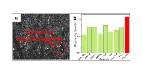 High Sensitivity And Ultrafast Response Ethanol Sensors Based On Graphene Oxide Acs Applied