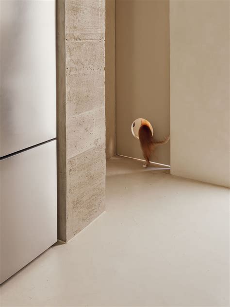 Gallery Of Paissandu Apartment Nama 29