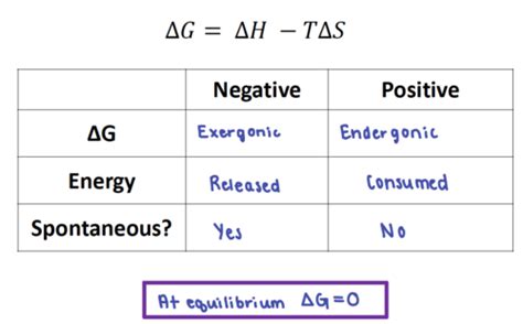 Biochemistry Exam 2 Flashcards Quizlet