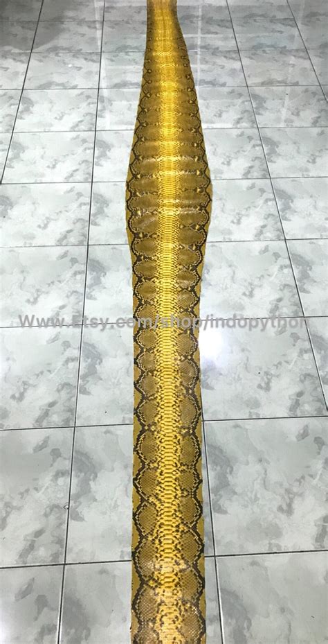 Buy High Quality Yellow Python Leather Indopython