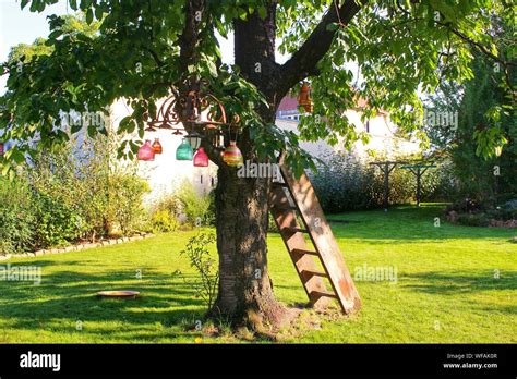 Bird Feeders Tree Hi Res Stock Photography And Images Alamy