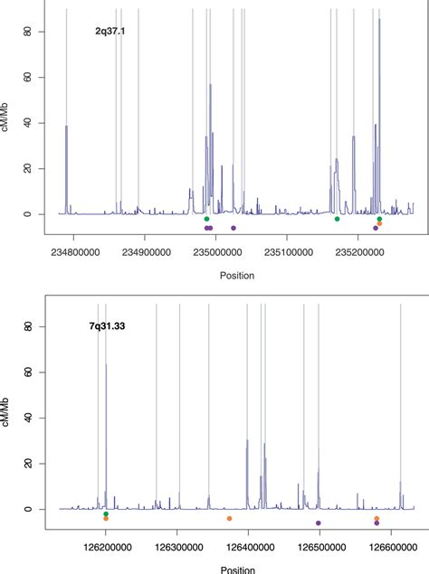 The Relationship Between Recombination Rate Recombination Hotspots