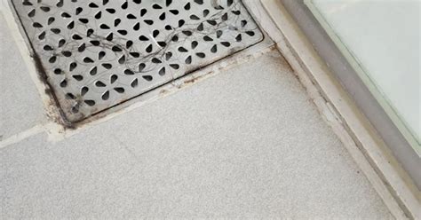 제시간에 오셔서 집안 상태에 대해 친절하게 설명해주시고 카톡으로 진행과정까지 자세하게 보내주셨습니다 깨끗하게 해주셔서