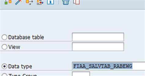 Hello World SAP FI Adding Of User Specific Fields Into Asset