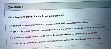 Solved Question 8 What Happens During Rna Splicing In Eukaryotes From