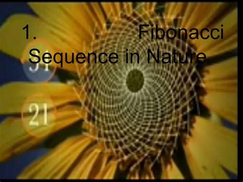 Discovery Invention And Generalization Math 114 Seminar On Problem Solving In Mathematics