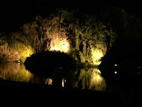 Premium Photo Reflection Of Trees In Water At Night