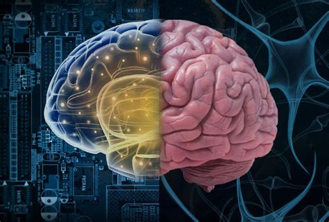 复旦大学 科技论文配图 医学动画 动画宣传片 三维动画制作 北京中科幻彩