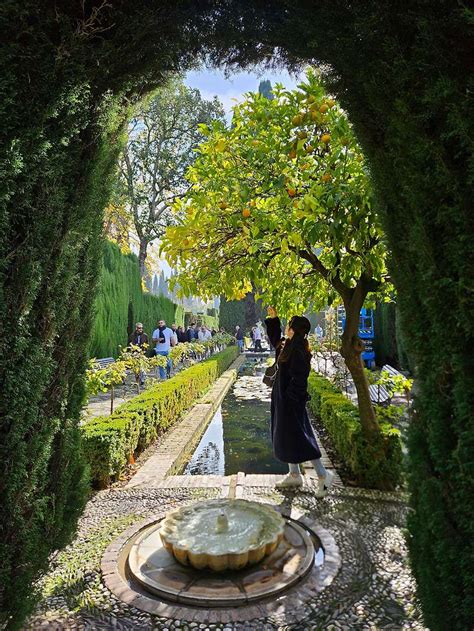 지적 허영심과 재미를 추구하는 디자이너의 일상