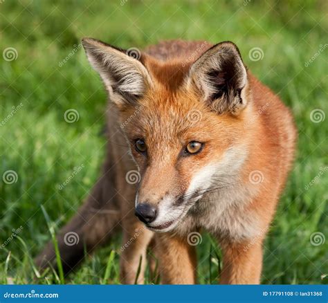 Download Using Waves And Vhdl For Effective Design And Testing A