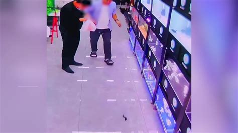 男子伸手鱼缸逗鱼遭反咬 店主为黄金眼镜蛇雷龙价值千元 新浪新闻