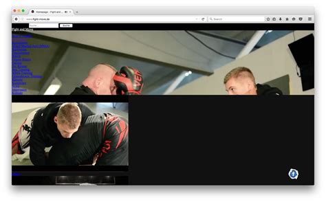 Javascript Wordpress Issues With Loading The Website On Firefox