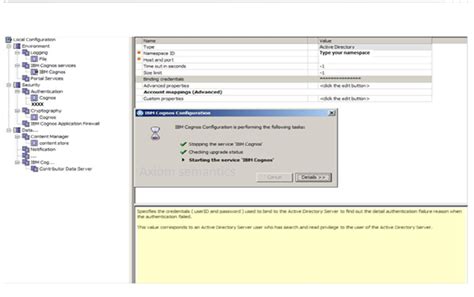 IBM Cognos Error AAA AUT Axiom Semantics