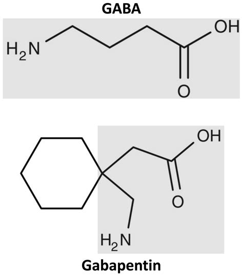 Gabapentin Structure