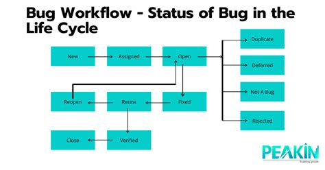 Defect Life Cycle In Software Testing Peakin