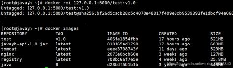 Docker Registry搭建与使用 Csdn博客