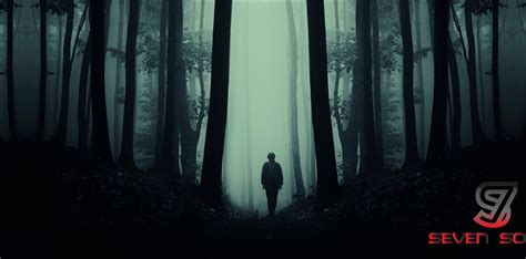 Seven Souls All You Should Know Before Going 2026 With Reviews