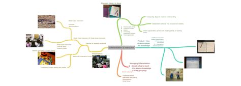 Differentiation And Instruction Coggle Diagram