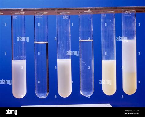 Ammonia Test For Silver Halides Test Tubes And The Results Of Using