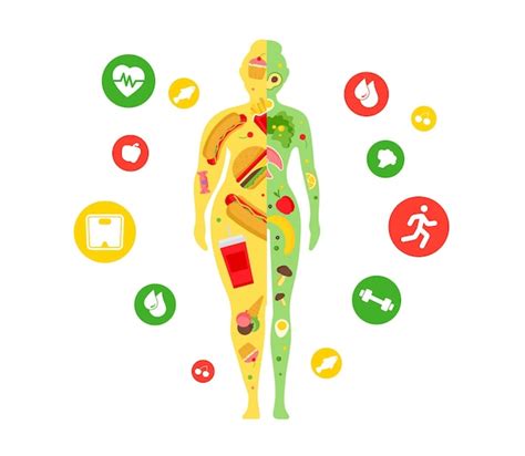 Premium Vector Healthy And Unhealthy Food The Effect Of Nutrition On