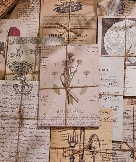 서류 한 다발 빈티지 다꾸 배경지 메모지 랩핑지 빅랩핑지 큰배경지 식물 레터링 꽃 악보 인테리어 소품 15000원 이상 구매시 할인 에이블리