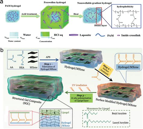Nshs Based On Covering Hydrophobic Layers On Hydrophilic Hydrogel Download Scientific Diagram
