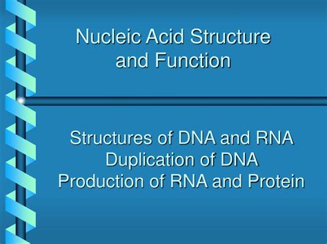 Ppt Nucleic Acid Structure And Function Powerpoint Presentation Free