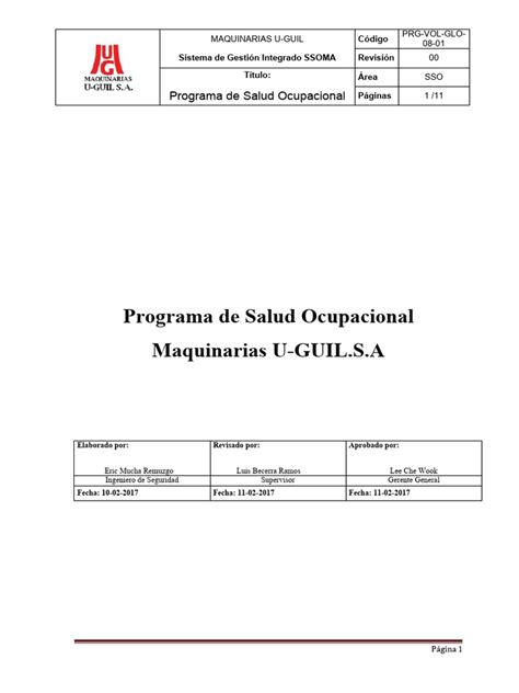 Programa De Salud Ocupacional Ok Pdf