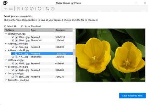 How To Repair And Open Corrupt Recovered JPEG Files