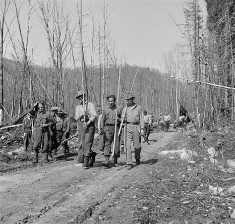 Fascinating Pictures Show Maine Woodsmen On A Dangerous Logging