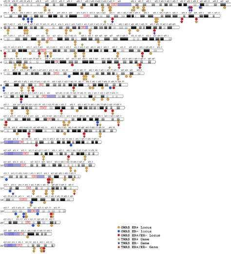 Expression And Splicing Based Multi Tissue Transcriptome Wide