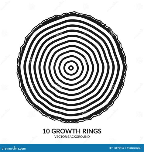 Growth Rings Tree Trunk Symbols Cartoon Vector CartoonDealer Com 24654595