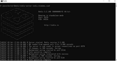 【九月打卡】第3天 安装redis数据库 慕课手记