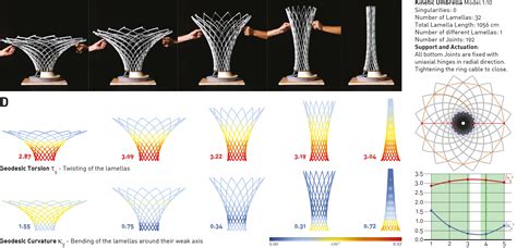 morphology of kinetic asymptotic grids eike schling