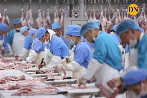 Малын дайвар бүтээгдэхүүний экспорт 15 6 дахин өсчээ Dnn Mn