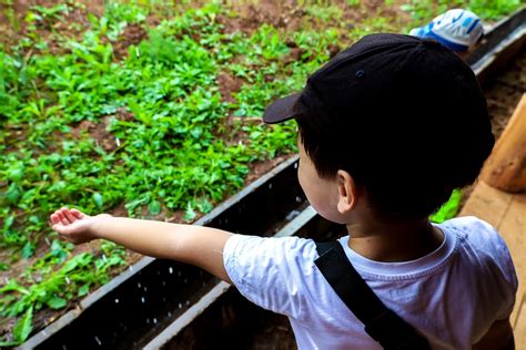 Какой сегодня праздник календарь на 15 июня в России и мире народные приметы кто родился